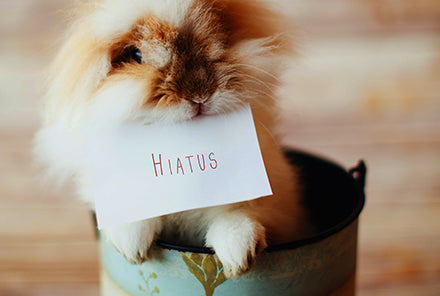Hiatus from Hiatuses - Selling 180